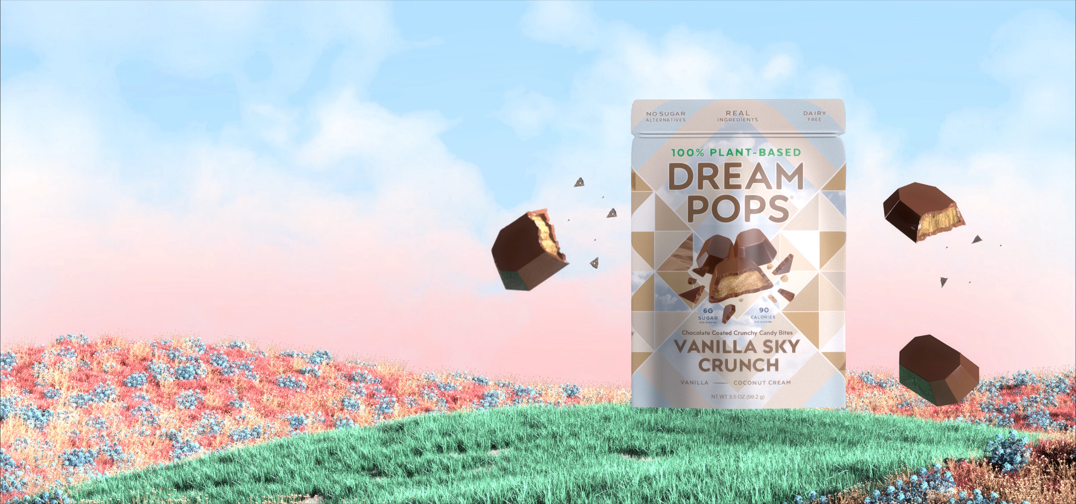 Dream Pops | Plant-Based Desserts Coated in Chocolate!