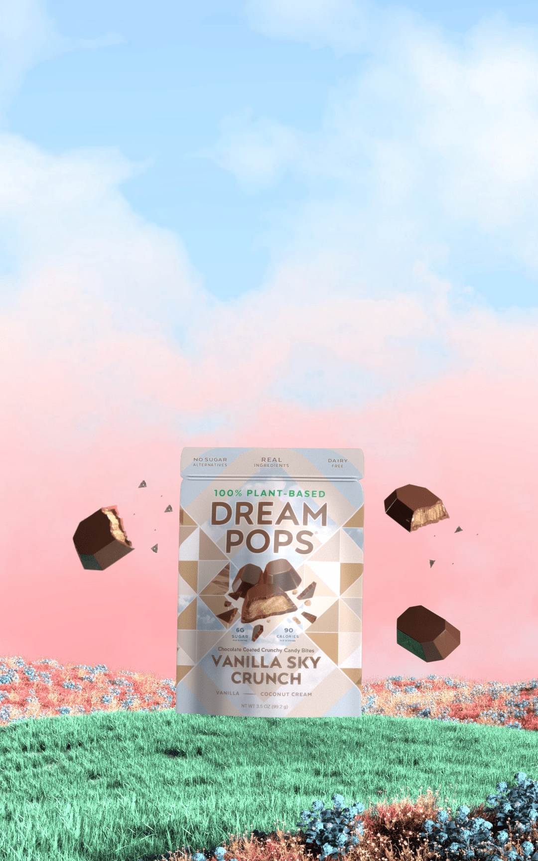 Dream Pops | Plant-Based Desserts Coated in Chocolate!